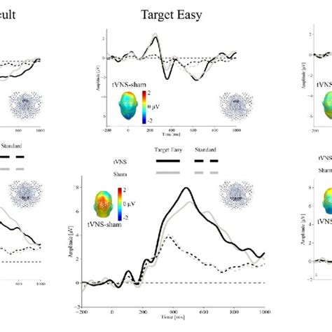 Grand Average Event Related Potentials Erps Evoked By Target