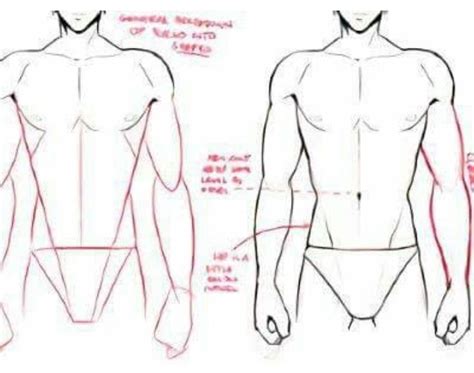 Como Dibujar Ayuda Cómo Dibujar Como Dibujar Cuerpos Tutoriales