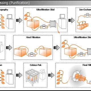 Potential Single Use Purification Process Download Scientific Diagram