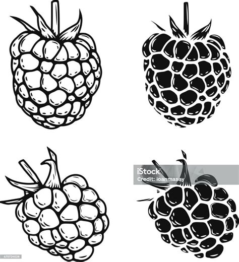 흰색 배경에 고립 라즈베리 아이콘의 집합입니다 아이콘 레이블 상징 기호 포스터 디자인 요소입니다 벡터 일러스트입니다 건강한 식생활에 대한 스톡 벡터 아트 및 기타 이미지