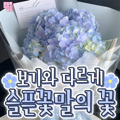 꿀팁을 담아서 공유 친구한테 선물하고 싶은 💛특이한 인형 모음💛 몽충한게 딱 너 닮음ㅋㅋㅋㅋㅋ 이거 어때 ⠀ ⠀ ⠀ 특이한인형 귀여운인형 친구선물 생일