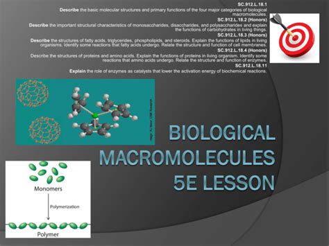Biological Macromolecules Structure And Function