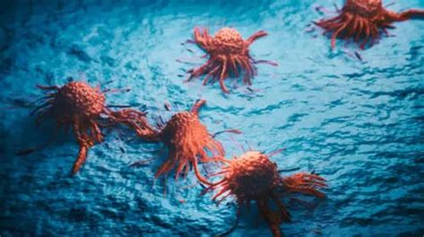 Understanding Tumor Microenvironment Signaling Pathways Technology