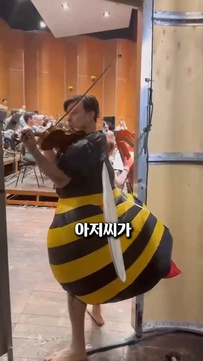 아저씨가 바이올린들고 왕벌이 된 이유 Youtube
