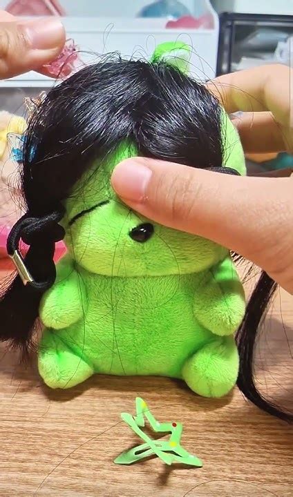 초롱이 미용 초롱 Youtube