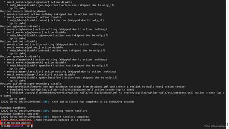 银河麒麟服务器操作系统v10sp2安装搭建极狐gitlab一体化devops平台银河麒麟v10安装gitlab Csdn博客