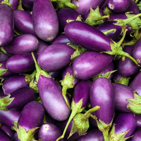 Color Of Eggplant At John Murawski Blog