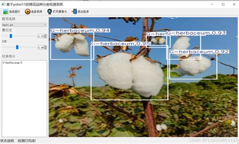 基于yolov11的棉花品种分类检测系统python源码pytorch模型评估指标曲线精美gui界面yolov11 分类预训练模型 Csdn博客