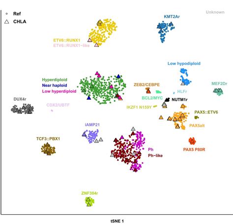 RNA Sequencing Analysis May Hold The Key To More Accurate Diagnosis And Targeted Treatment Of