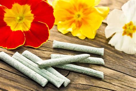 Can Fertilizer Spikes Kill Trees Fertilizer Pick