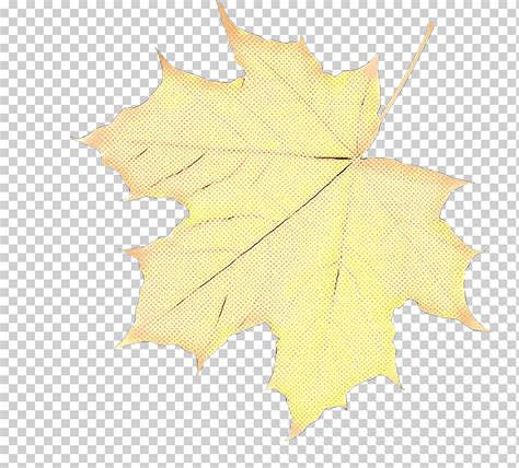 가을 잎 팝 아트 레트로 빈티지 메이플 리프 노란색 트리 블랙 메이플 Png Klipartz