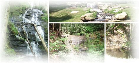 About Coopers Creek Trout Pond