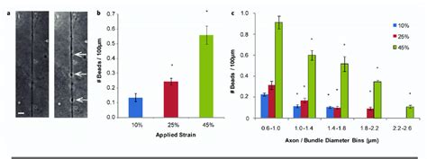 Uniaxial Strain Injury Induced Axonal Beading A Example Of Axonal