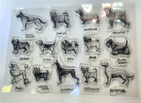 Dog Breeds Clear Rubber Stamp 6x4 Etsy