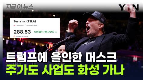 트럼프 머스크는 슈퍼 천재위험한 베팅 성공에 테슬라 주가 훨훨 지금이뉴스