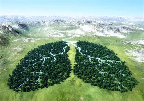 Mining Explosives Aeci Group