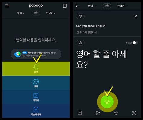 파파고 이미지 번역기와 미니 기능 사용법 총 정리 파파고 이미지 번역기와 미니 기능 사용법 총 정리