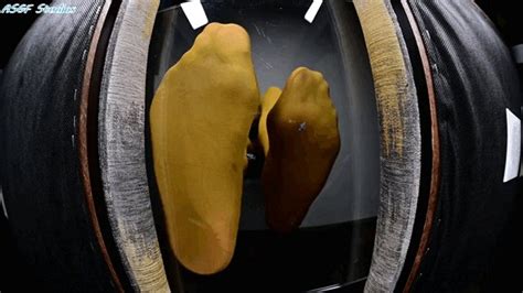 Smd S Giant Yellow Stocking Crush Pov Mp4 Amateur Soles Giantess