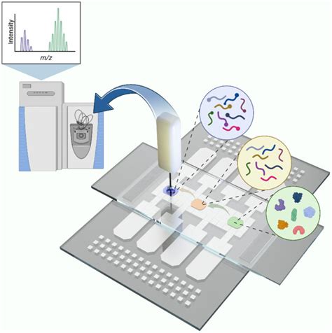 All In One Digital Microfluidics Pipeline For Proteomic Sample Preparation And Analysis Pmc