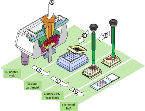 Tma Mate An Open Source Modular Toolkit For Constructing Tissue