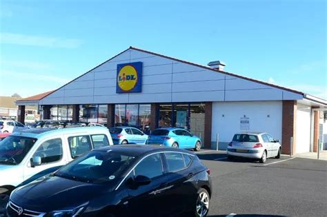 The New Lidl Summer Treat Shoppers Have Fallen In Love With Hull Live