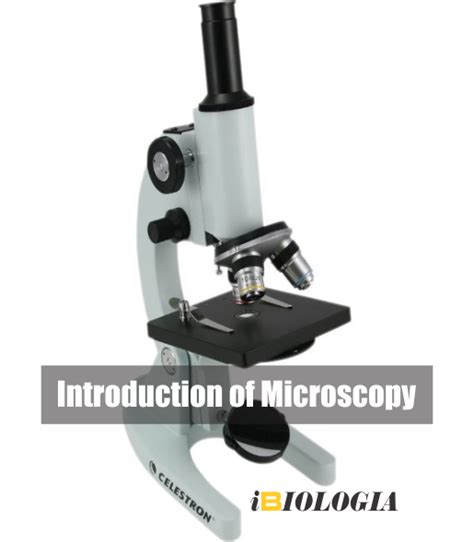 Waxes Structure Functions Biochemistry Examples