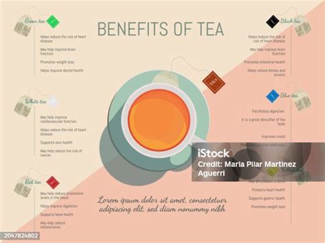 이미지 중앙에 있는 차 한 잔의 인포그래픽과 다양한 종류의 차와 그 안에 둘러싸여 있습니다 차 뜨거운 음료에 대한 스톡 벡터