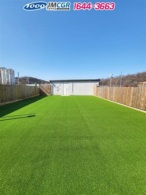 숨을 쉬는 숨터프 인조잔디 대전 금산 루프탑 옥상 애견 운동장 시공 네이버 블로그