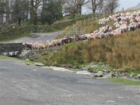 Hay Stacks And Fleetwith Pike Fenlandramblers