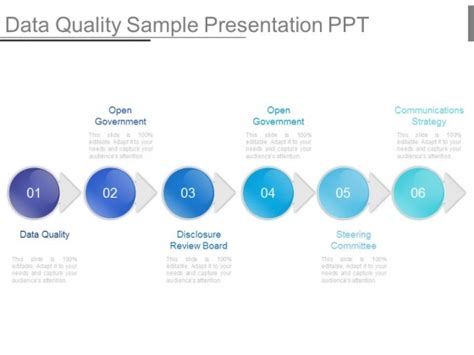 Data Quality Sample Presentation Ppt Powerpoint Templates