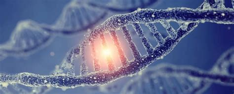 Breakthrough Rare Gene Mutation Offers Clues To Preventing Type Diabetes Lifeboat News The