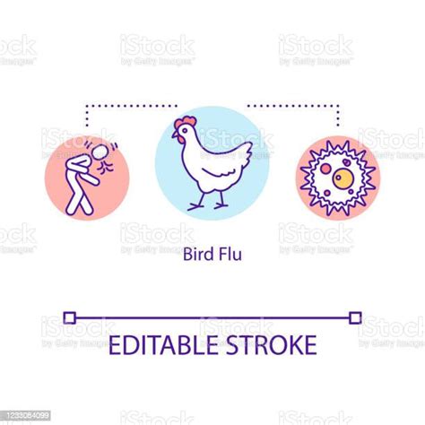 조류 독감 개념 아이콘입니다 조류 인플루엔자 질병 증상 닭에서 질병 질병 은 아이디어 얇은 선 그림을 확인 합니다 벡터 절연 윤곽선 Rgb 색상 드로잉 편집 가능한 스트로크