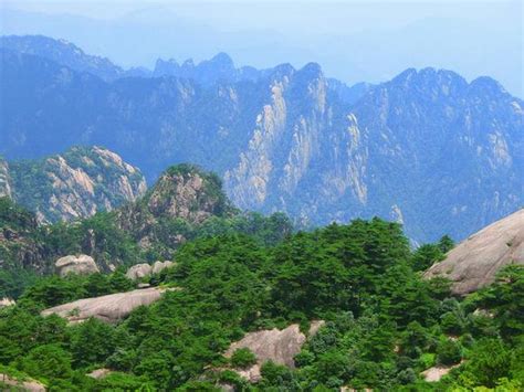 青松懸崖上爭奇 怪石奇峰上鬥豔 去過黃山 便會看盡千山皆不是 每日頭條