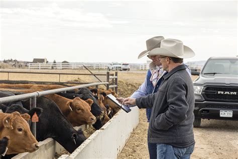 Genomic Testing The Past Present And Future Ag Proud