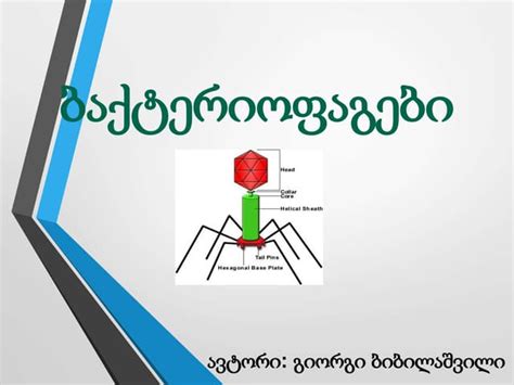 ბაქტერიოფაგები Pptx