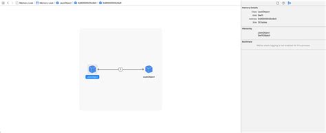 Visual Memory Debugging With Xcode 8 Holdapp