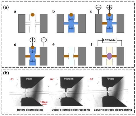 Diagram Of Simple Circuit Showing Electroplating Circuit Diagram