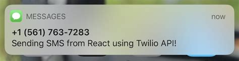 How To Use The Twilio Sms Api With React Sms Api React Tutorial