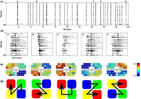 a1 typical raster plot of the recorded activity of for coupled neural
