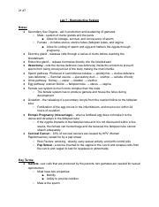 Lab Reproductive System Pdf Lab Reproductive System Notes Secondary Sex Organs