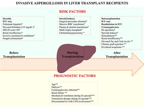 Invasive Aspergillosis In Liver Transplant Recipients Melenotte