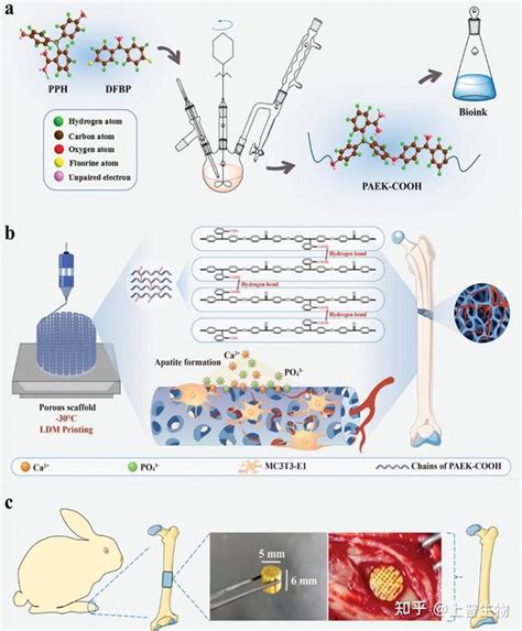 大连化物所周光远教授团队利用sunp Bp11低温沉积3d打印含多级孔隙结构且可促进生物矿化的聚芳醚酮骨组织工程支架 知乎