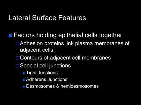 SOLUTION Cell Junctions And Microvilli Lecture Studypool