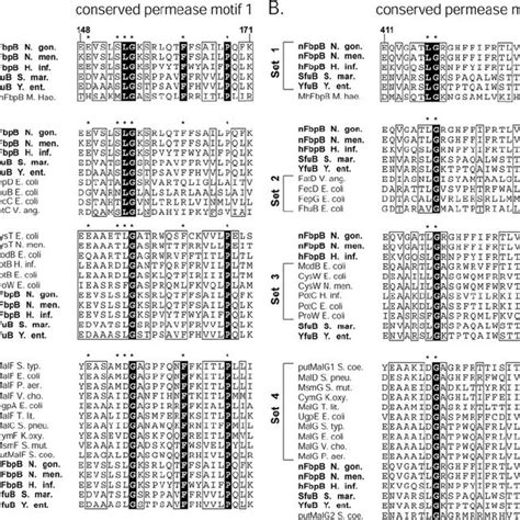 Multiple Sequence Alignments Of The Conserved Permease Motifs From Download Scientific Diagram