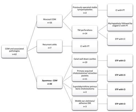 Cochlear Implantation In Chronic Otitis Media With Cholestea Otology And Neurotology
