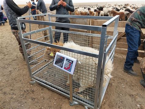 Бог малын ангилагч шинжээч бэлтгэх сургалт зохион байгуулав