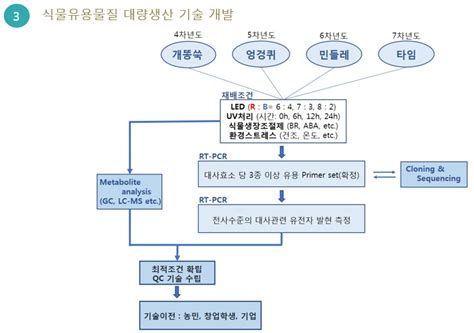 식물분자생물학실험실 Dku 식량생명공학전공