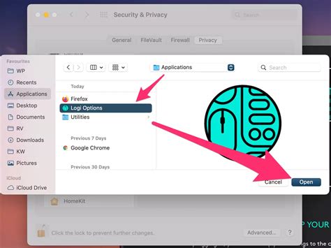 What Does Logitech Options Do