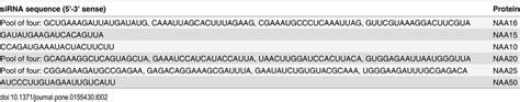Sirna Sequences For Knockdown Download Table