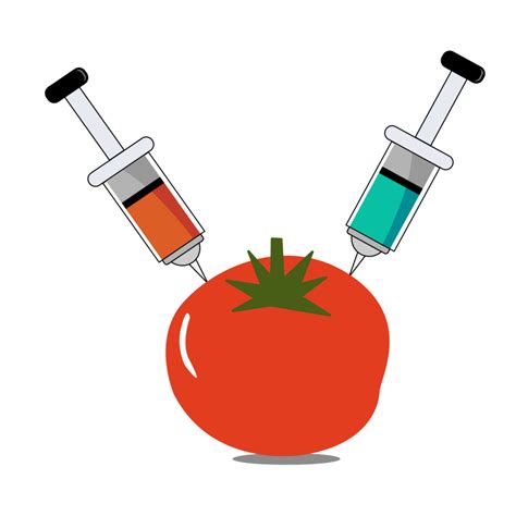 Chemical Additives In Food Or Genetically Modified Fruit Concept